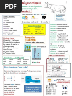 Traer Conjugation Spanish | PDF | Perfect (Grammar) | Linguistics