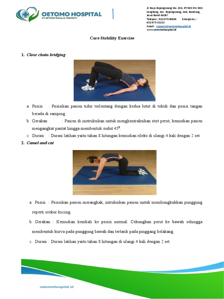 Core Stability Exercise | PDF