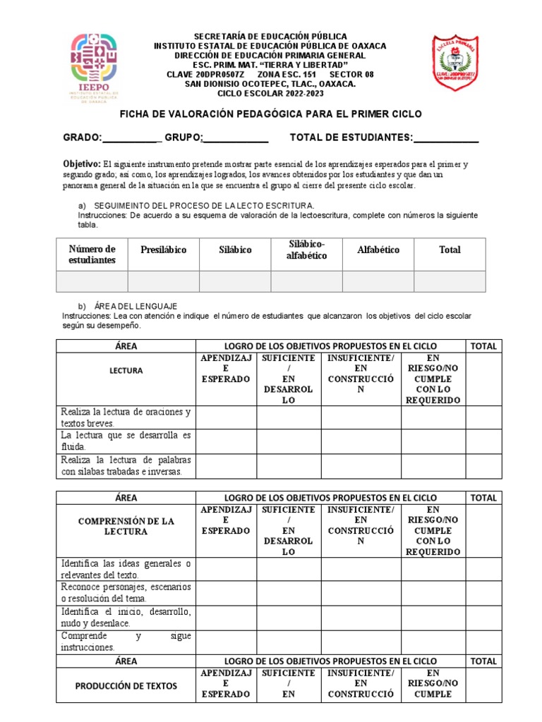 Formato De Valoracion Primer Ciclo Pdf Lingüística Ciencia Cognitiva