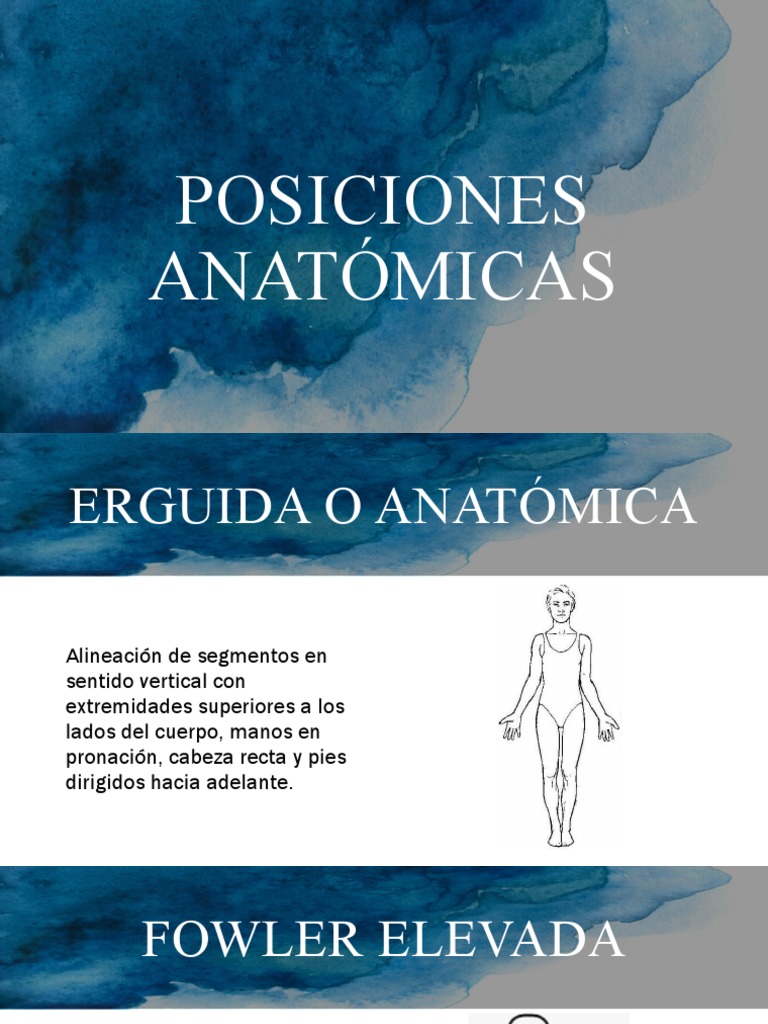 Posiciones Anatómicas | PDF