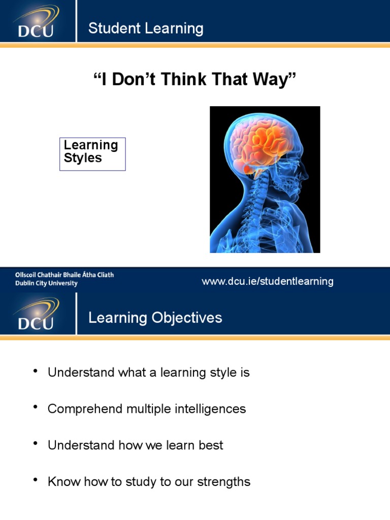 Learning Styles Workshop Slides | PDF