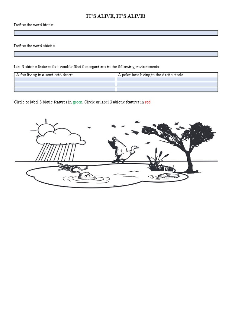 Ecology Worksheets | PDF | Predation | Ecosystem