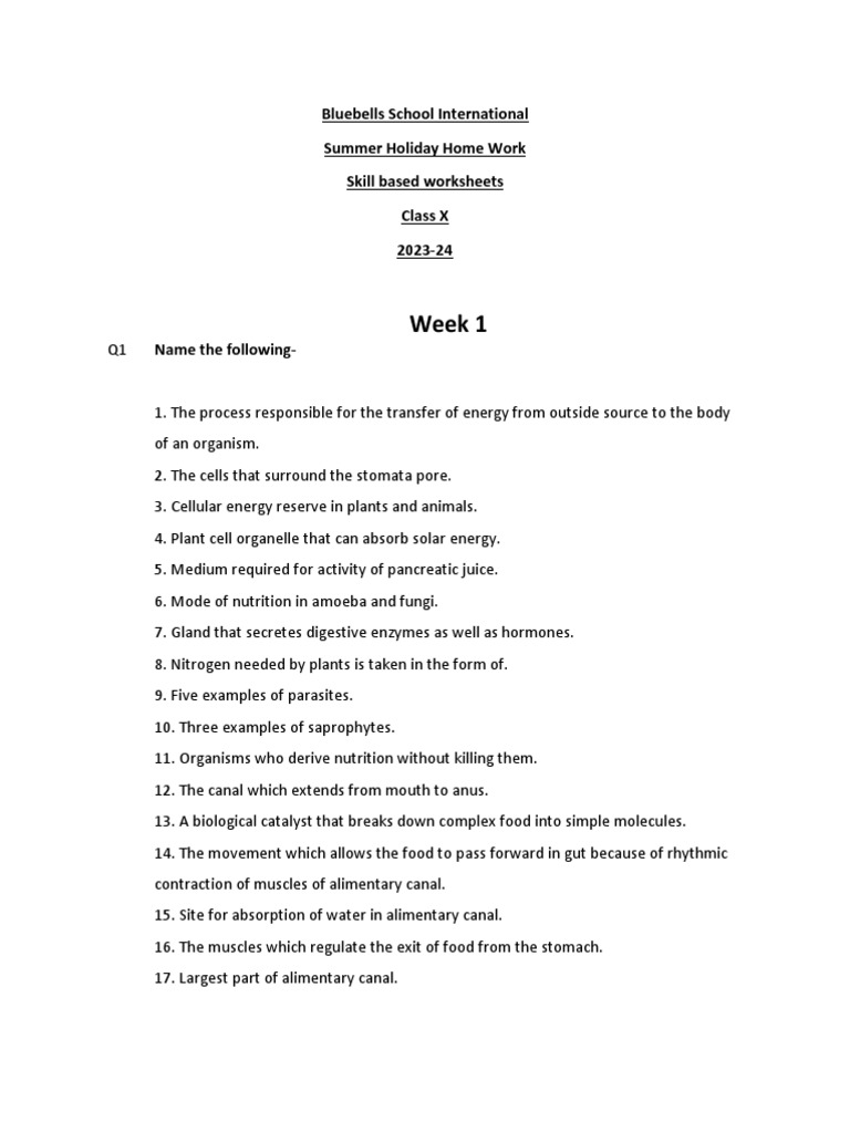 Class 10 Science Holiday Homework 2023-24 | PDF | Redox | Leaf