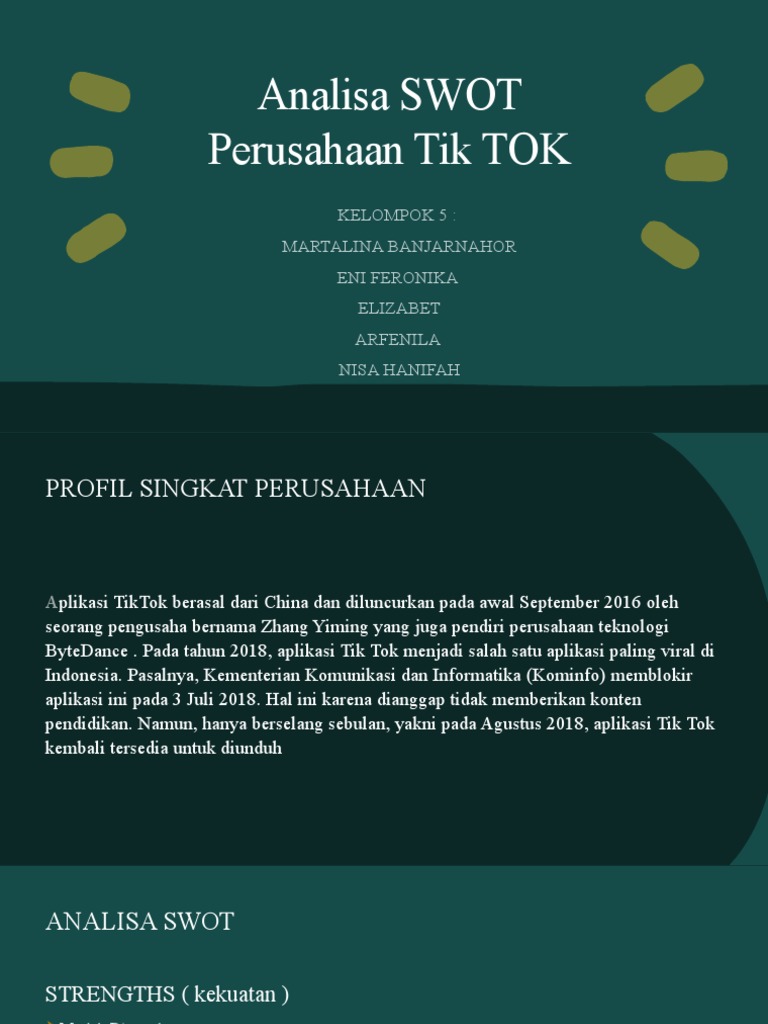 Analisa Perusahaan Tik Tok | PDF
