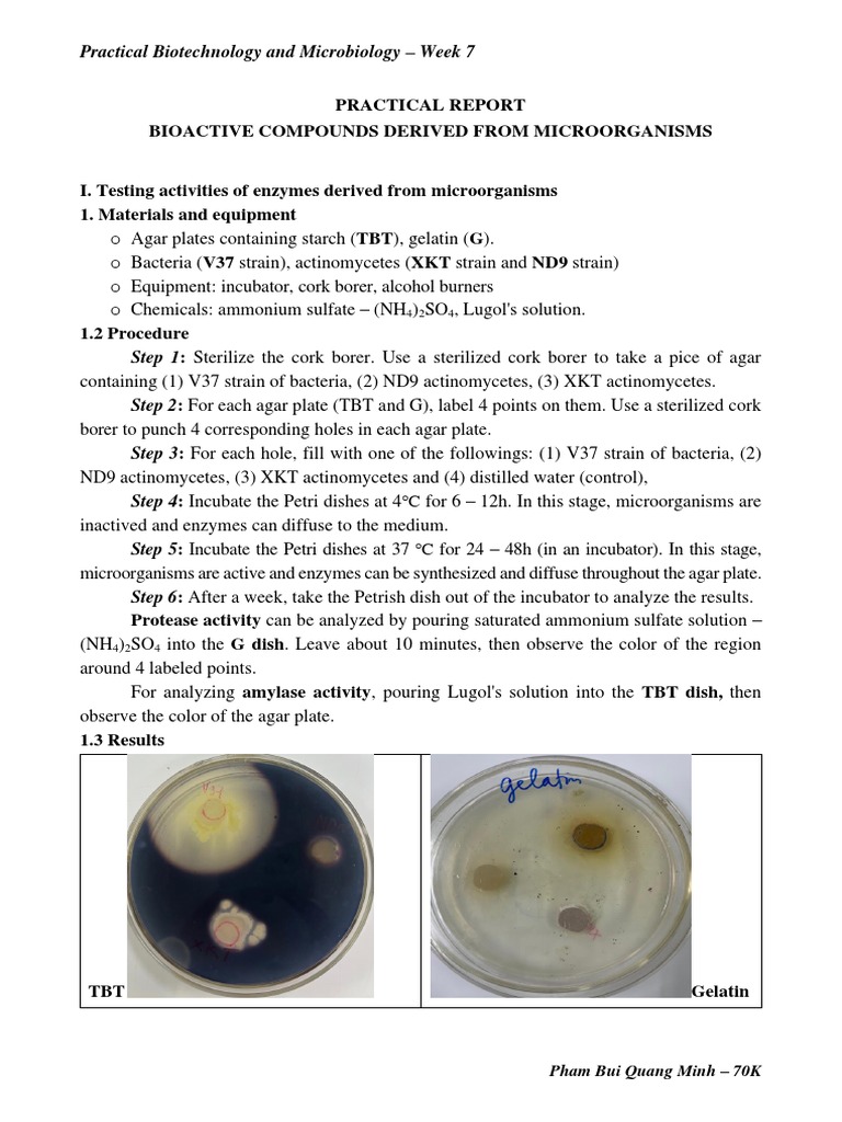 Microbiology Practice Report Week 7 | PDF | Agar | Titration