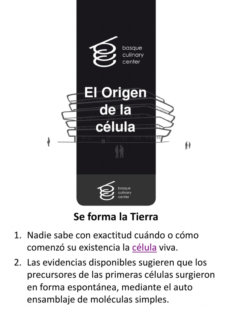 El Origen De La Celula Pdf Organismos Eucariotas