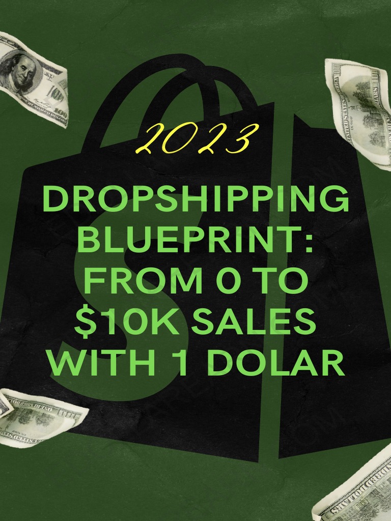 DROPSHIPPING_BLUEPRINT_2023 | PDF | Marketing | Analytics