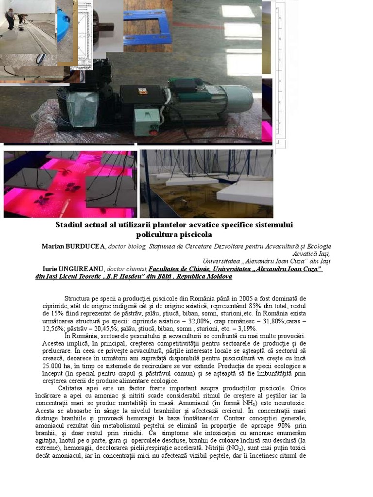 Articol Burducea | PDF