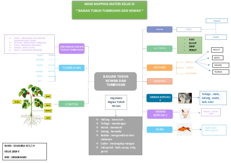 Mind Map Materi Kelas IV Bagian Tubuh Hewan Dan Tumbuhan | PDF