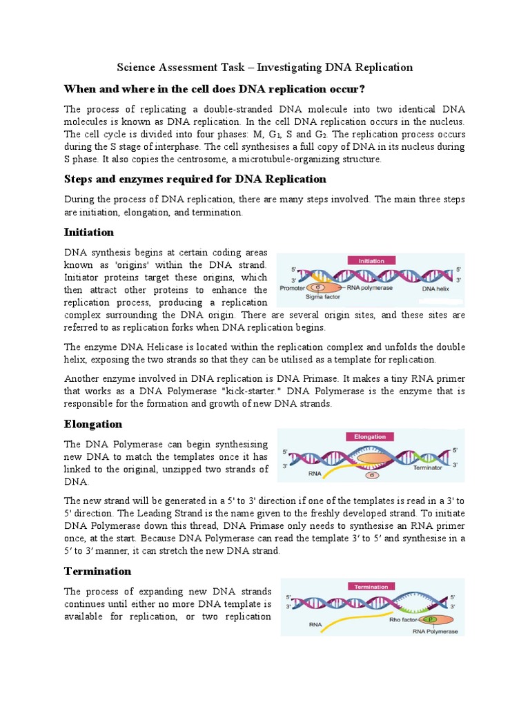 Science Assessment Task | PDF | Dna Replication | Dna