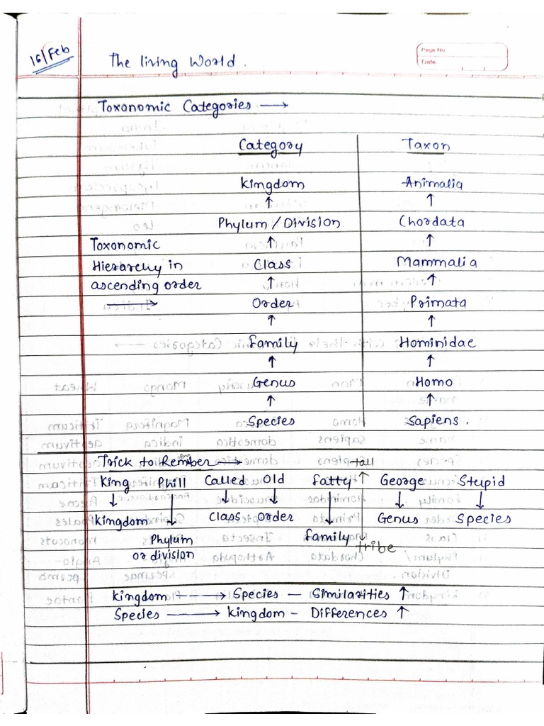 The Living World | PDF