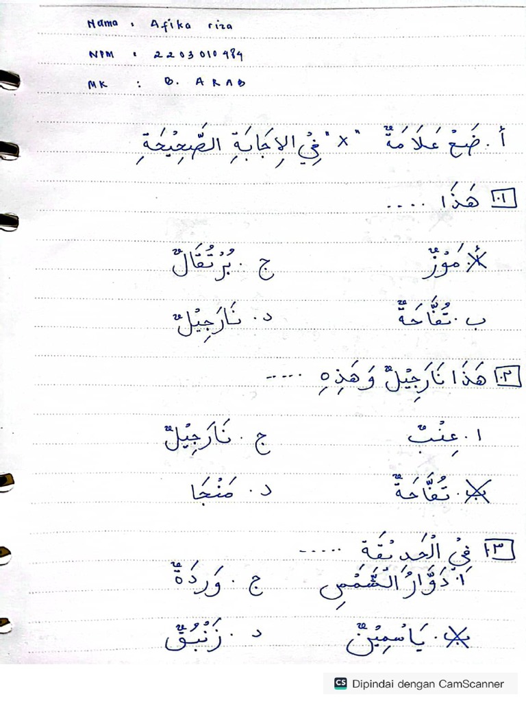 Afika Riza (2203010484) | PDF