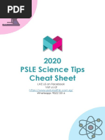 2021 PSLE Math Paper With Answers | PDF