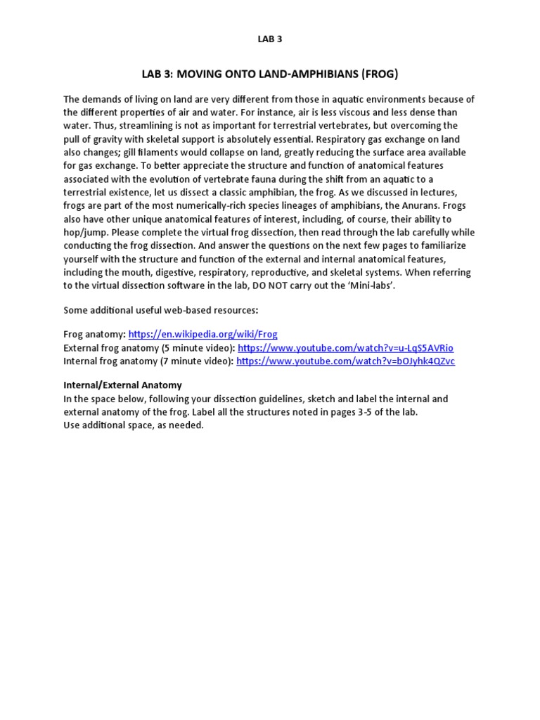 BIOL330 Lab 3 - Lab Manual | PDF | Small Intestine | Phylogenetic Tree