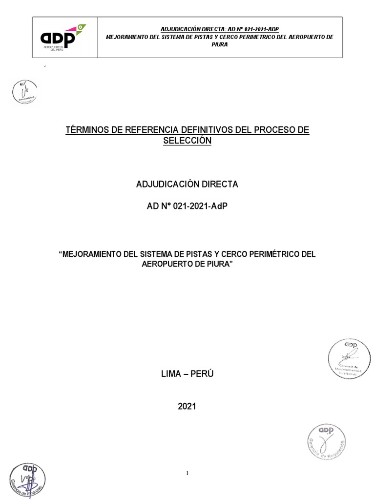 TDR AD N 021-2021-AdP PRMLA Piura | PDF