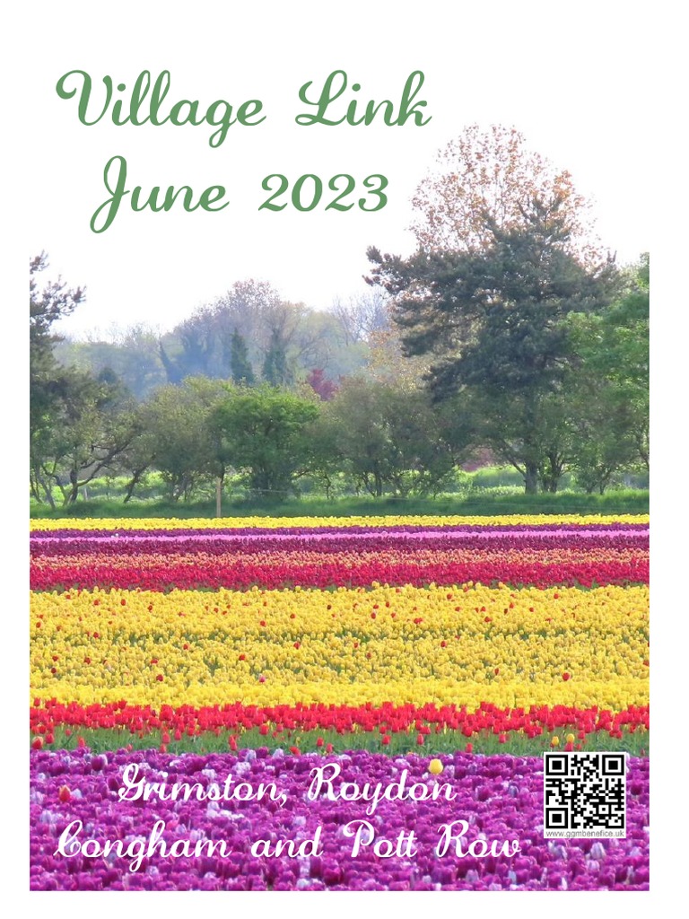 June Village Link | PDF | Diarrhea | Gastrointestinal Tract