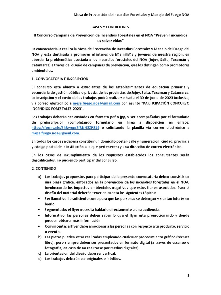 Bases y Condiciones Concurso Fuego 2023 | PDF Bases y Condiciones Concurso Fuego 2023 | PDF