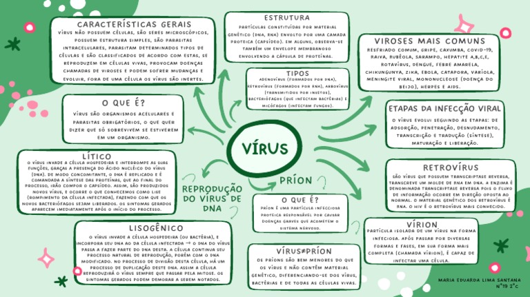 Mapa Mental Sobre o Vírus - Biologia Ensino Médio | Download grátis PDF | Vírus | Biotecnologia