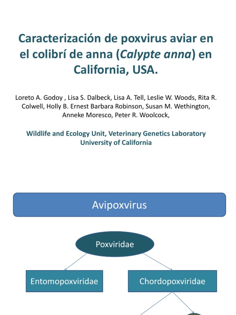 Poxvirus Calypte Anna | PDF | Virus | Adn