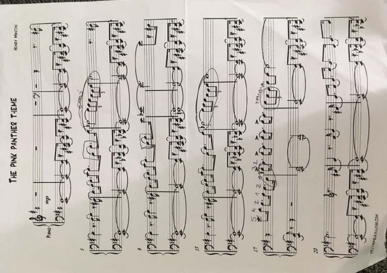 Pink Panter note | PDF
