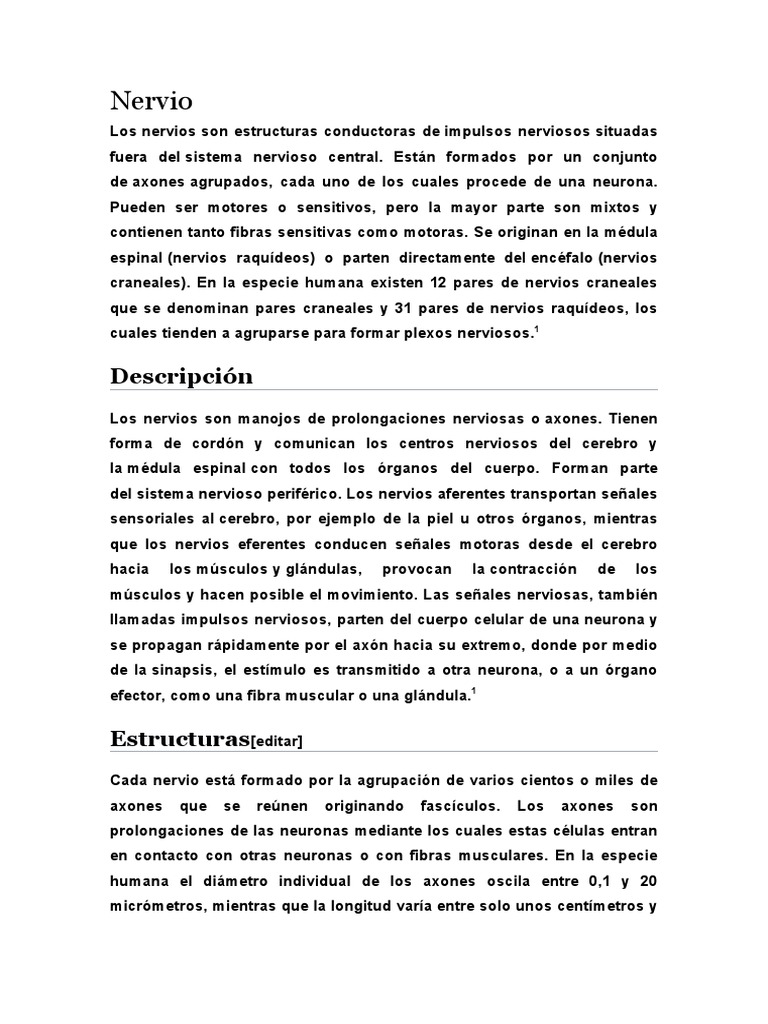 Nervios | PDF | Nervio | Sistema nervioso