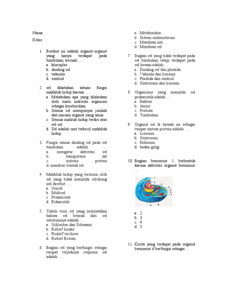 Soal Sel Ipa | PDF