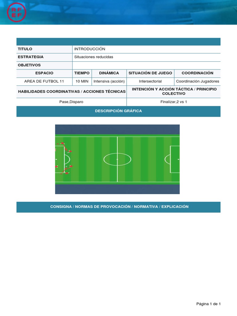 Proyecto final UEFA C | PDF