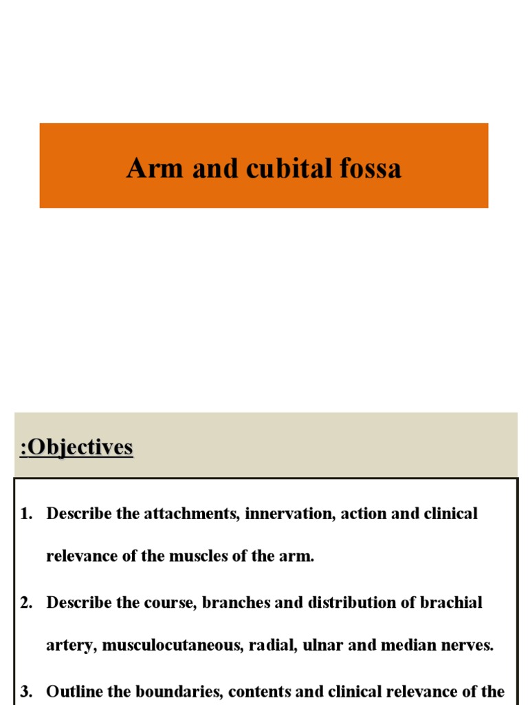 Arm and Cubital fossa (1) | PDF | Arm | Elbow