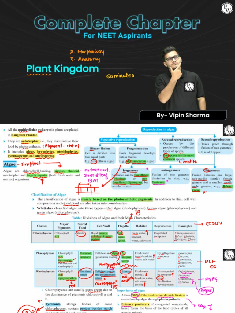 Plant Kingdom - Class Notes - Neet Mindmap | PDF