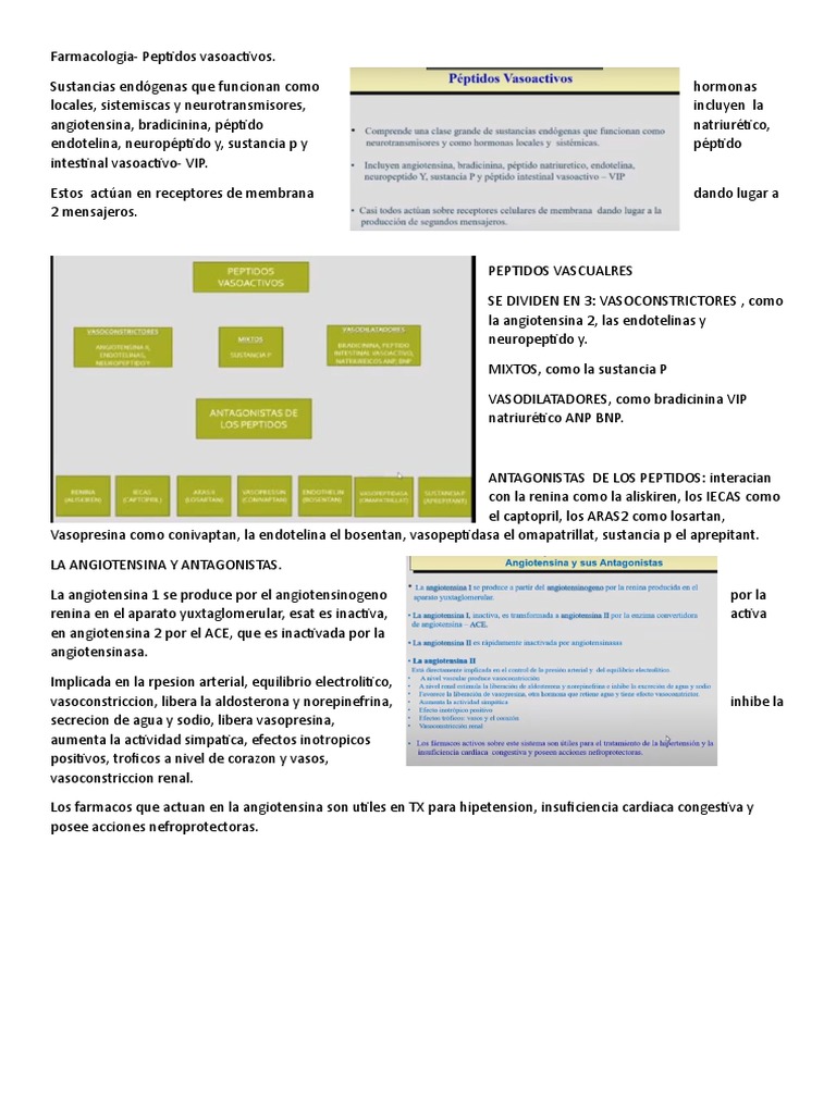 Farmacologia Peptidos Vasoactivos Clase 17 | PDF | Angiotensina | Medicina CLINICA