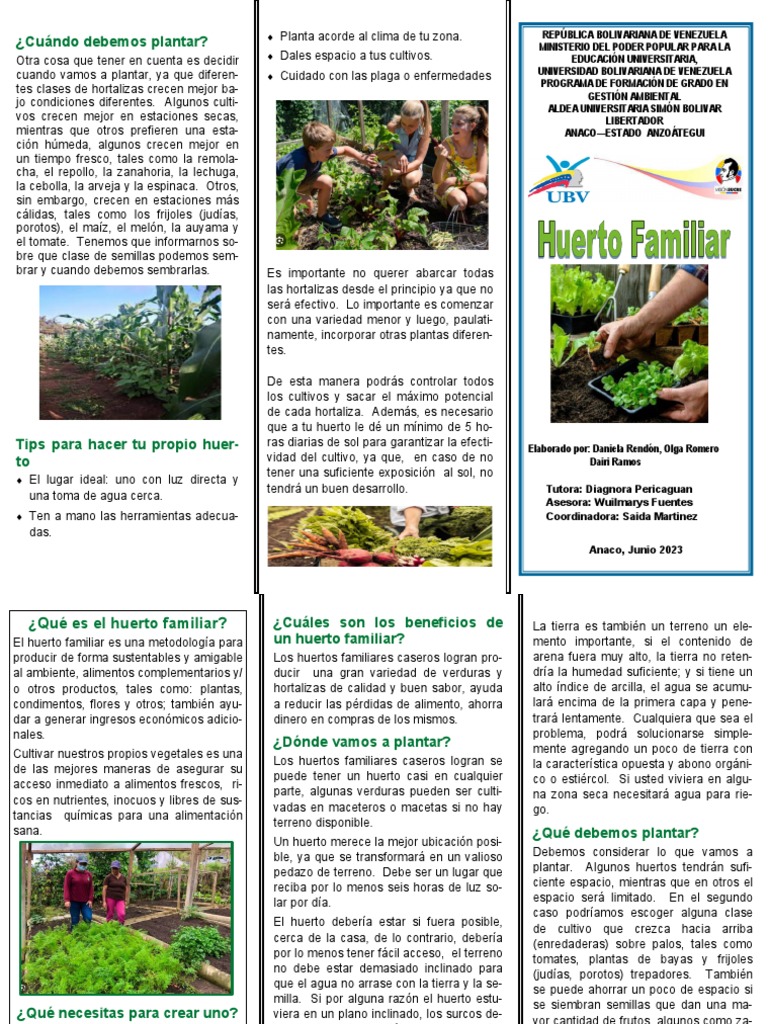 Triptico Huerto Familiar | PDF | Vegetales | Siembra