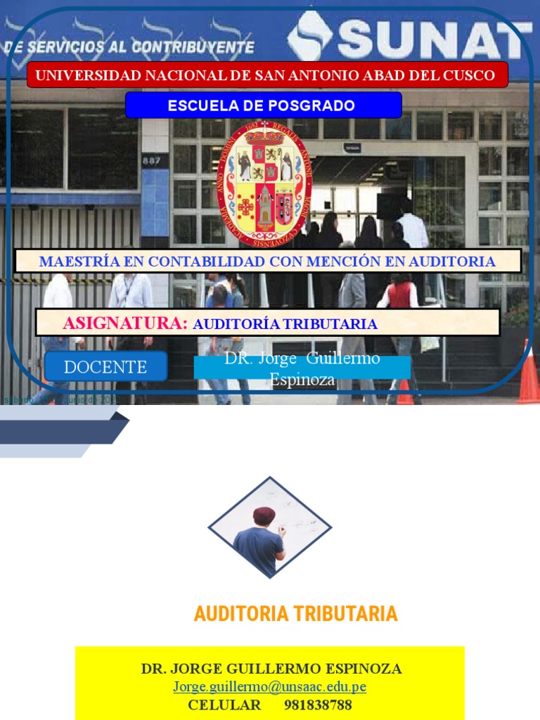 Primera Semana - 1 Diapos | PDF | Auditoría | Impuestos