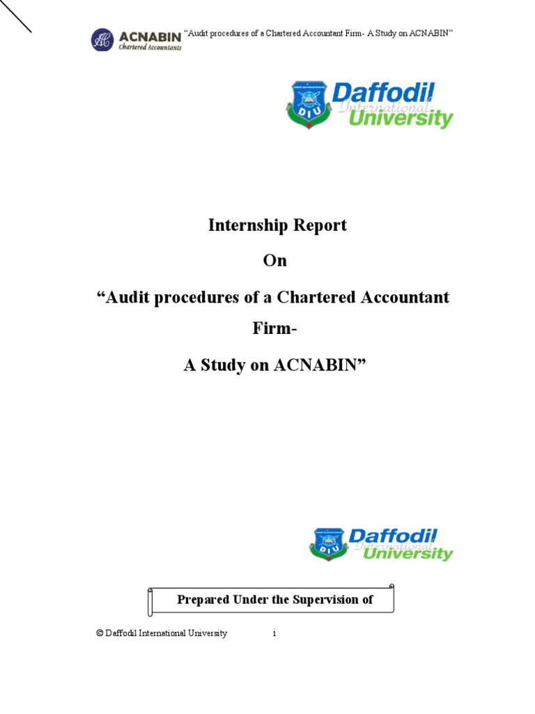 ACNABIN Audit Procedures Overview | PDF | Audit | Accounting