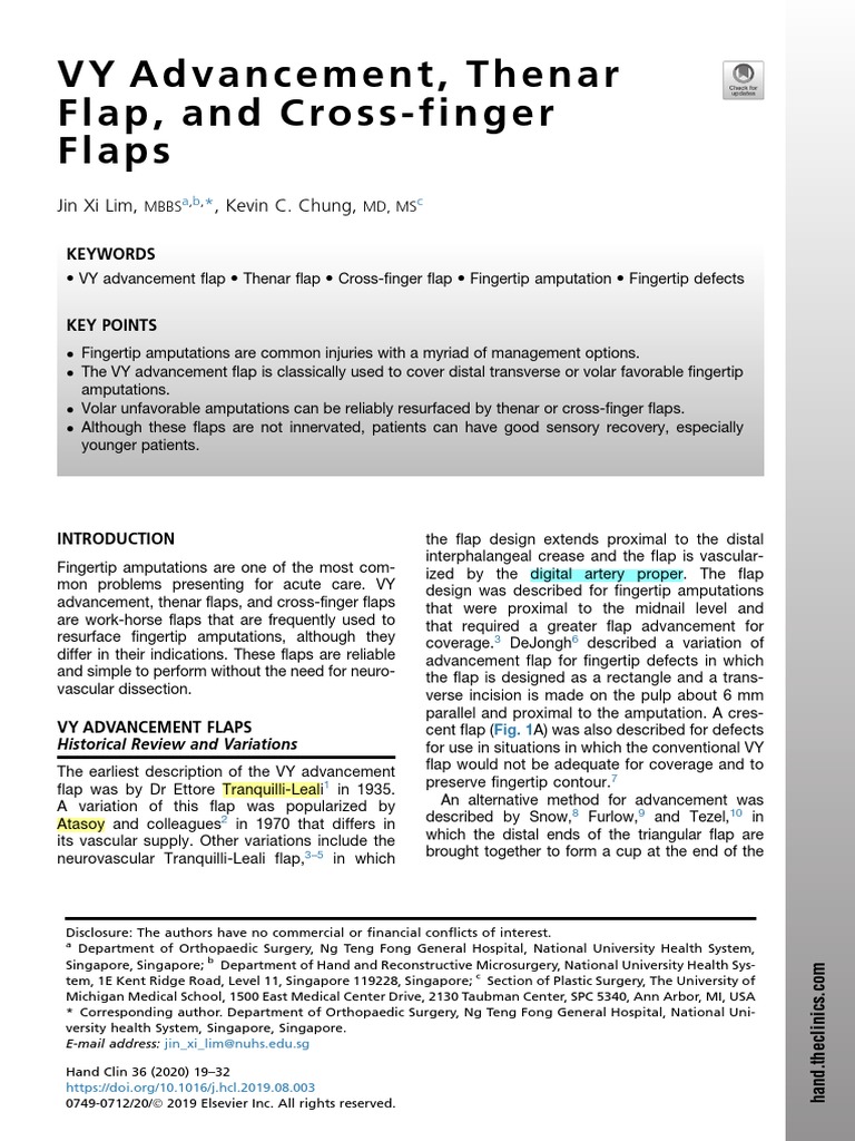 V-Y Flap | Download Free PDF | Finger | Hand