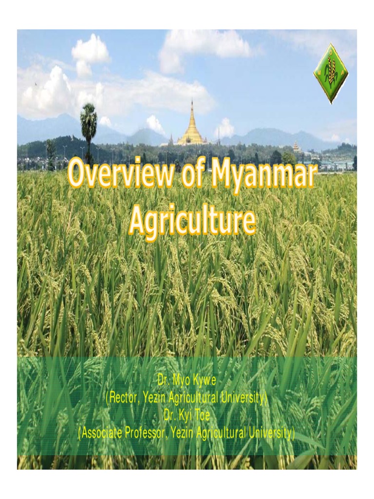 Dokumen - Tips Agriculture Sector in Myanmar An Overview | PDF ...