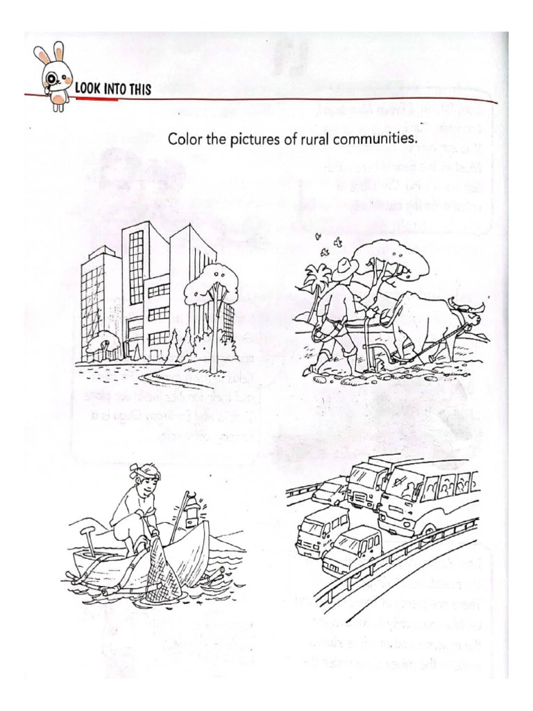 Activity 1 In Social Studies PDF