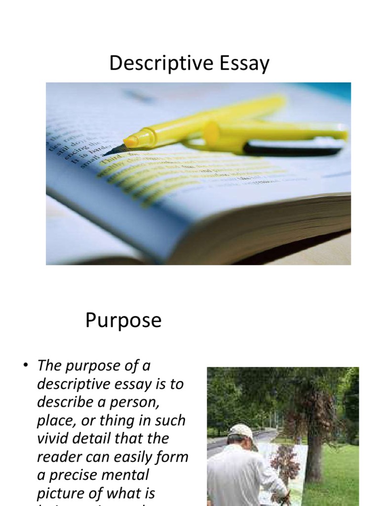 Descriptive Essay | PDF