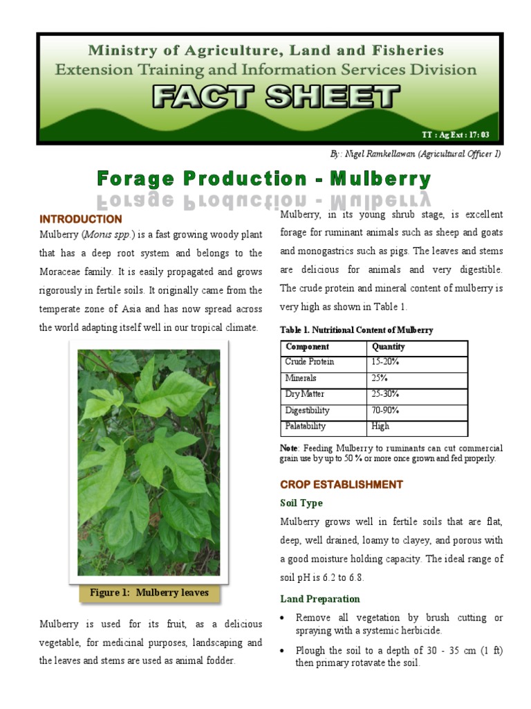 Forage Production Mulberry | PDF | Fertilizer | Soil