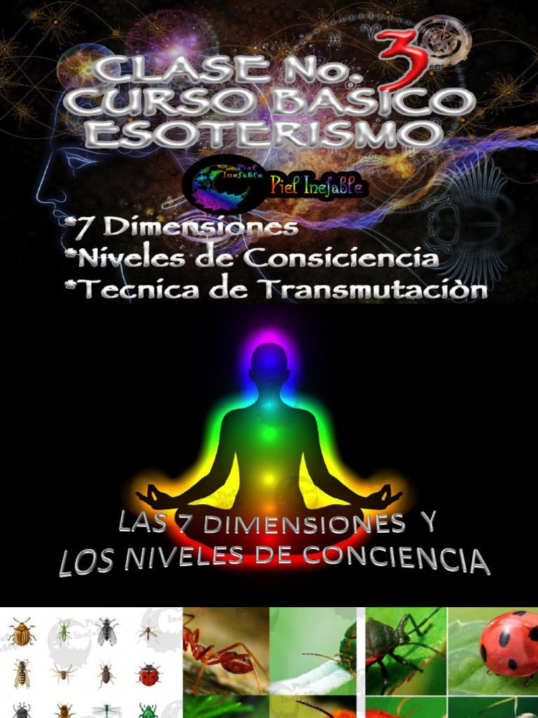 Las 7 Dimensiones y Los Niveles de Consciencia-1 | PDF
