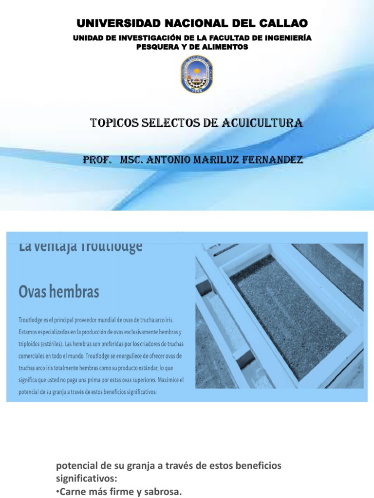 Beneficios de las Ovas Triploides en Acuicultura | PDF | Sexo ...