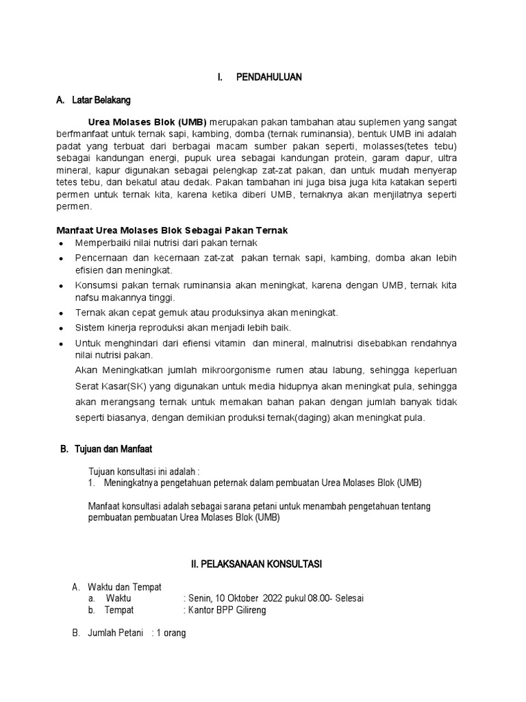 Konsultasi Umb | PDF