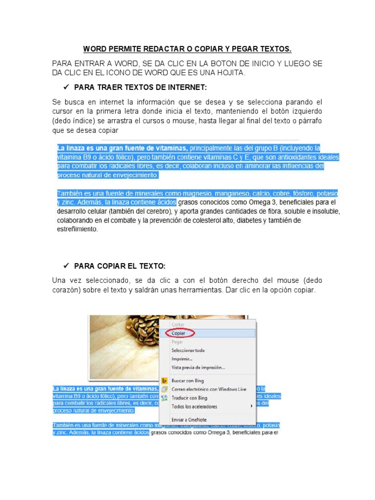 Guia Word Mami | PDF | Archivo de computadora | Software