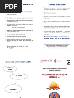 Charla 5 Minutos - PRP003 Actuación Ante Emergencia de Incendio | PDF