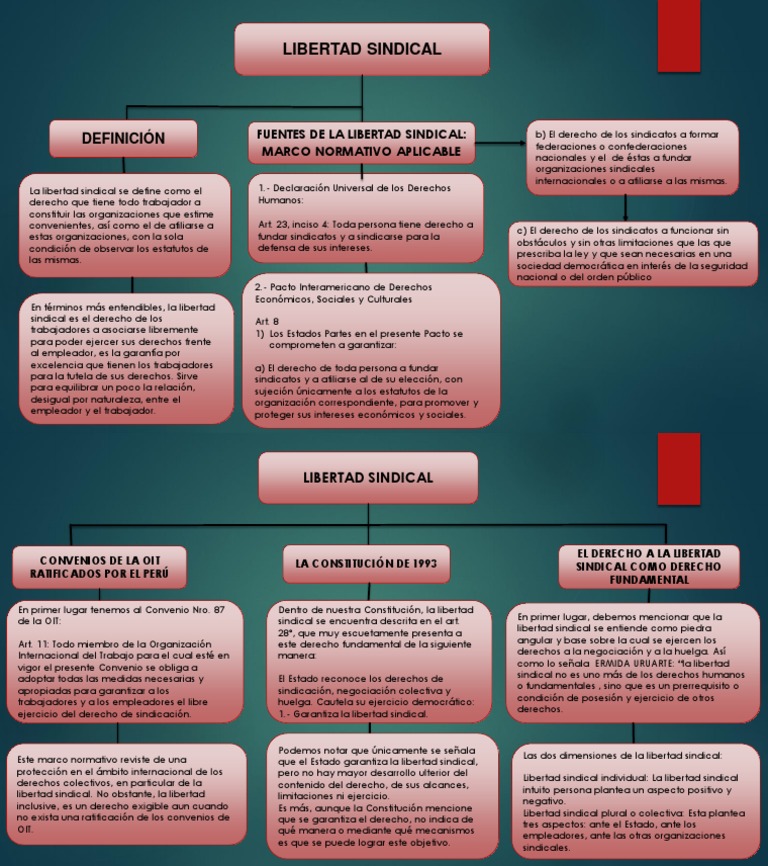 Libertad Sindical | PDF | Sindicato | Libertad