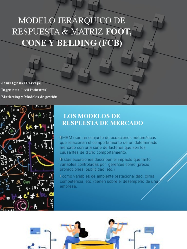 Modelo Jerárquico de Respuesta Matriz Foot, Jesus | PDF | Comportamiento | Motivación