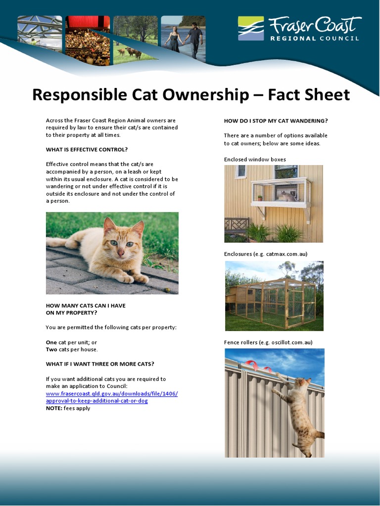Responsible Cat Ownership Fact Sheet 2020 | PDF | Domesticated Animals ...