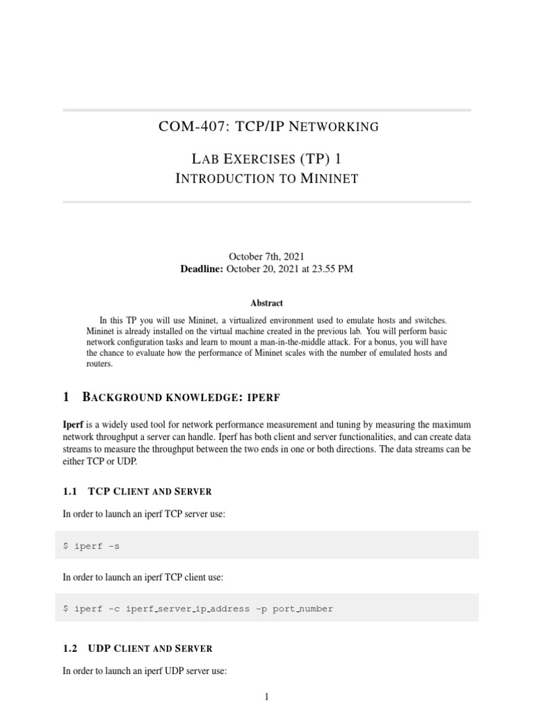 Mininet Activity | PDF | I Pv6 | Ip Address