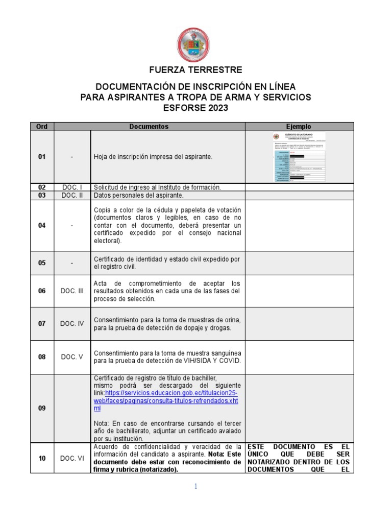 Formatos para Elaboración de Carpeta Digital Esforse 2023 | PDF | VIH ...