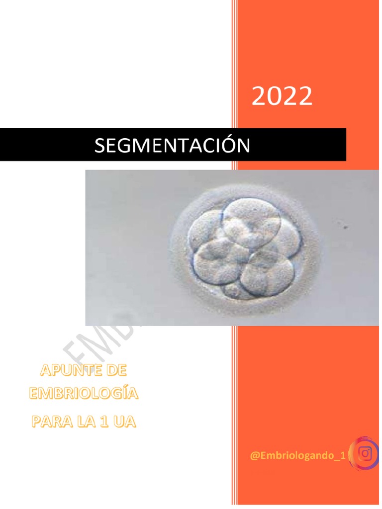 2. Segmentación | PDF