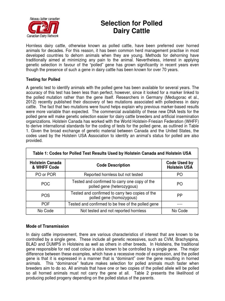 Polled Gene Article - February 2013 | PDF | Zygosity | Dominance (Genetics)
